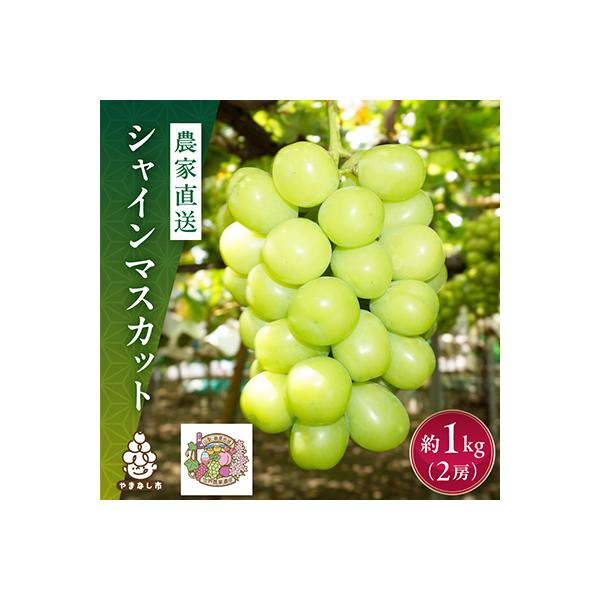 ■お礼品詳細　・配送種別：冷蔵便　・提供元：晴耕雨読農家会（ＳＴ）■お申し込み・配送・その他　・発送時期：2026-08-15〜2026-09-15(お届け時間帯指定可)　・申込受付期間：〜2026-08-31　・配達外のエリア：離島　・寄...