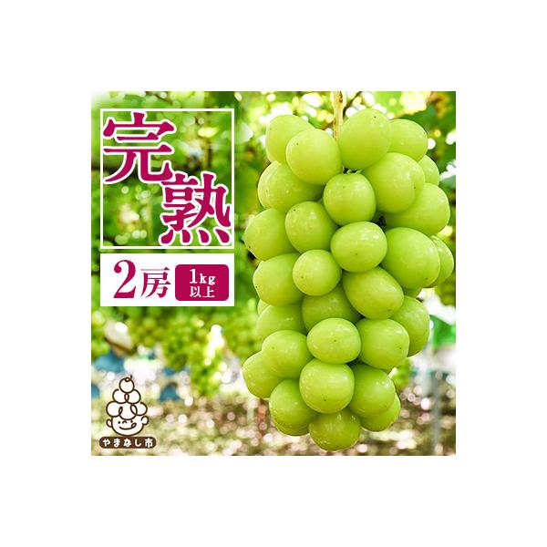 ■お礼品詳細　・配送種別：冷蔵便　・提供元：晴耕雨読農家会（ＳＴ）■お申し込み・配送・その他　・発送時期：2026-09-05〜2026-10-10(お届け時間帯指定可)　・申込受付期間：〜2026-09-10　・配達外のエリア：離島　・寄...