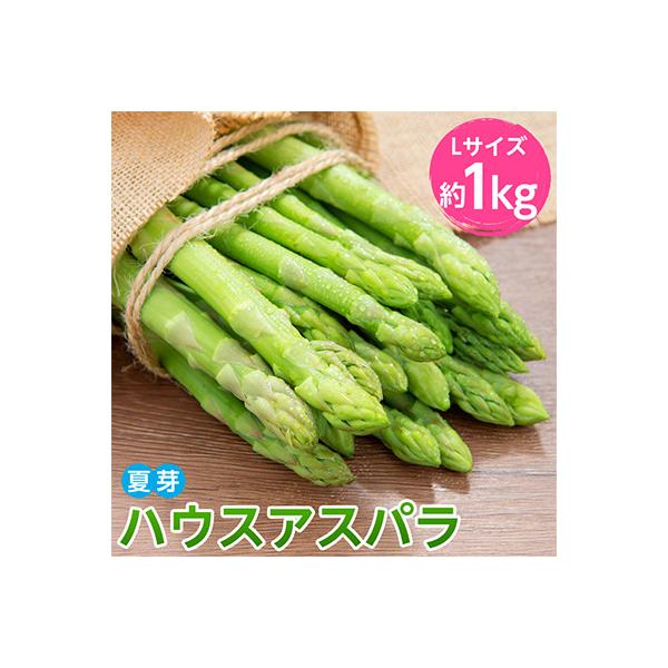 ■お礼品詳細　・配送方法：クール便(冷蔵)　・提供元：美幌観光物産協会【冷蔵】■お申し込み・配送・その他　・発送時期：2026-07-10〜2026-08-15(お届け時間帯指定可)　・申込受付期間：〜2026-07-20　・配達外のエリア...