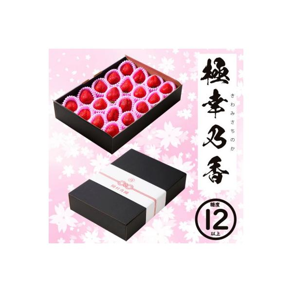 ■お礼品詳細　・配送方法：クール便(冷蔵)　・提供元：園村苺園■お申し込み・配送・その他　・発送時期：2026-02-05〜2026-03-31(お届け時間帯指定可)　・申込受付期間：〜2026-03-25　・配達外のエリア：離島　・寄付証...