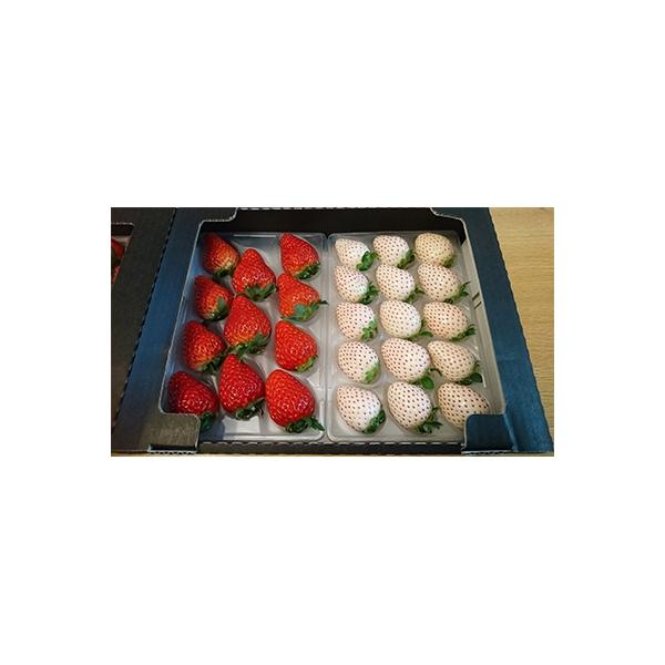 ■お礼品詳細　・配送方法：クール便(冷蔵)　・提供元：鈴木農園■お申し込み・配送・その他　・発送時期：2026-1/6〜2026/5/20(お届け時間帯指定可)　・申込受付期間：〜2026/5/10　・配達外のエリア：離島、北海道、沖縄県、...