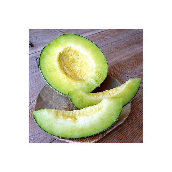 ■お礼品詳細　・提供元：戸田メロン園■お申し込み・配送・その他　・発送時期：お申込み後1〜2週間程度で順次発送(お届け時間帯指定可)　・申込受付期間：通年　・配達外のエリア：　・寄付証明書の送付時期目安：申込完了日から２ヵ月程度※お届け時間...