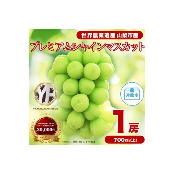 ■お礼品詳細　・配送種別：冷蔵便　・提供元：山梨市ふるさと振興機構（果物）（ＳＴ）■お申し込み・配送・その他　・発送時期：2026-08-20〜2026-10-20(お届け時間帯指定可)　・申込受付期間：〜2026-10-15　・配達外のエ...