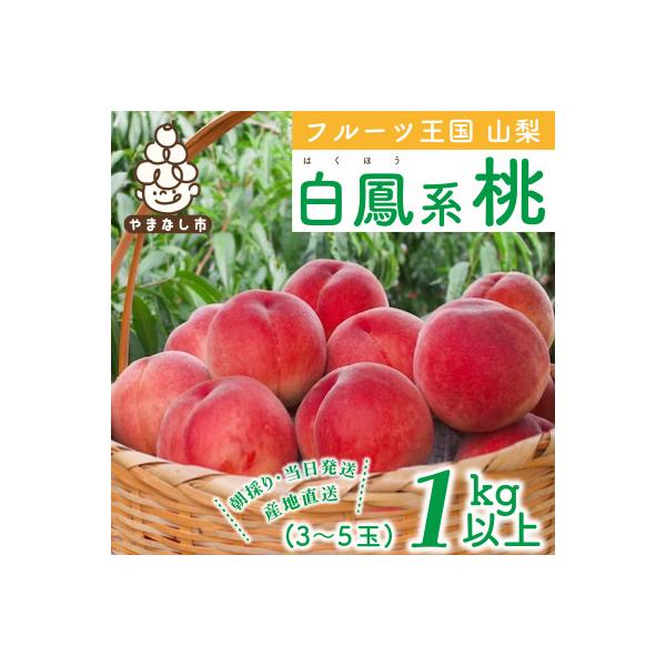 ■お礼品詳細　・配送種別：冷蔵便　・提供元：株式会社ＰｌａｙｅｓｔＪＡＰＡＮ（桃）■お申し込み・配送・その他　・発送時期：2026-06-15〜2026-08-10(お届け時間帯指定可)　・申込受付期間：〜2026-05-31　・配達外のエ...