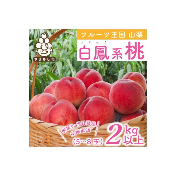 ■お礼品詳細　・配送種別：冷蔵便　・提供元：株式会社ＰｌａｙｅｓｔＪＡＰＡＮ（桃）■お申し込み・配送・その他　・発送時期：2026-06-15〜2026-08-10(お届け時間帯指定可)　・申込受付期間：〜2026-05-31　・配達外のエ...