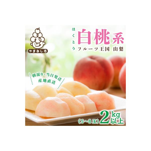 ■お礼品詳細　・配送種別：冷蔵便　・提供元：株式会社ＰｌａｙｅｓｔＪＡＰＡＮ（桃）■お申し込み・配送・その他　・発送時期：2026-07-10〜2026-08-31(お届け時間帯指定可)　・申込受付期間：〜2026-05-31　・配達外のエ...