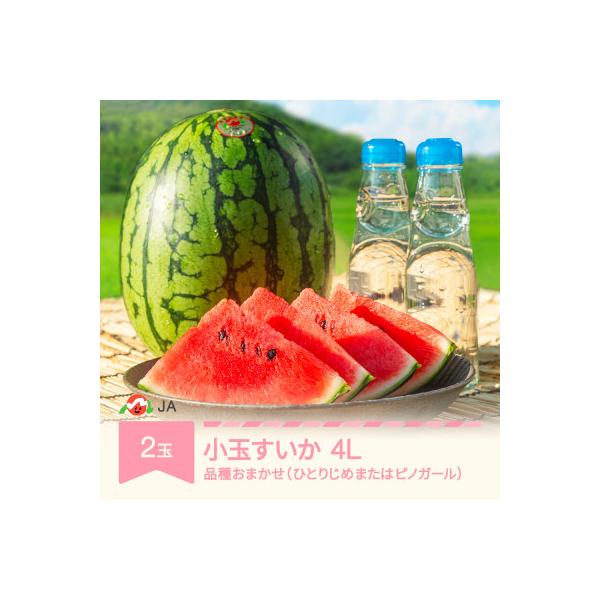 ■お礼品詳細　・提供元：ＪＡみちのく村山■お申し込み・配送・その他　・発送時期：2026-07-11〜2026-07-31(お届け時間帯指定可)　・申込受付期間：〜2026-07-10　・配達外のエリア：離島　・寄付証明書の送付時期目安：申...