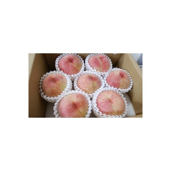 ■お礼品詳細　・提供元：大久保桃園■お申し込み・配送・その他　・発送時期：2026/7/1〜2026/8/15(お届け時間帯指定可)　・申込受付期間：〜2026/7/25　・配達外のエリア：離島、沖縄県　・寄付証明書の送付時期目安：申込完了...