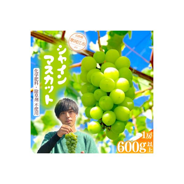 ■お礼品詳細　・配送方法：冷蔵便　・提供元：株式会社アンスリーファーム■お申し込み・配送・その他　・発送時期：2026-09-15〜2026-10-18(お届け時間帯指定可)　・申込受付期間：2025-12-10〜2026-09-15　・配...