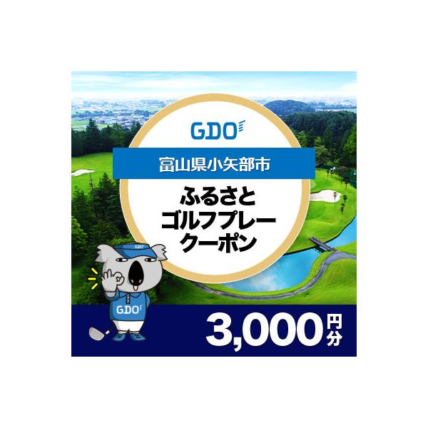 ■お礼品詳細　・配送種別：通常　・提供元：GDO（富山県小矢部市）■お申し込み・配送・その他　・発送時期：ご入金完了の数時間以内に、ご登録のメールアドレスにクーポン番号が送付されます。　・申込受付期間：通年　・配達外のエリア：　・寄付証明書...