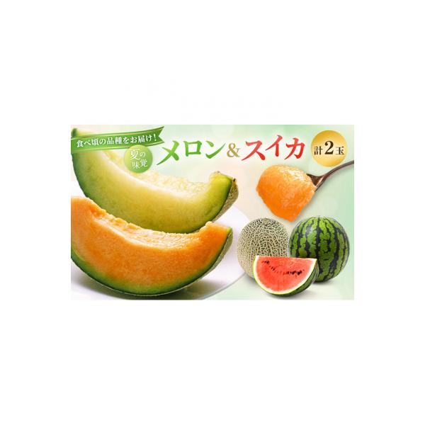 ■お礼品詳細　・配送種別：通常　・提供元：レッドホースコーポレーション（Ｈ．ＧＲＥＥＮＷＯＲＫ）■お申し込み・配送・その他　・発送時期：2026-07-20〜2026-08-20(お届け時間帯指定可)　・申込受付期間：〜2026-08-05...