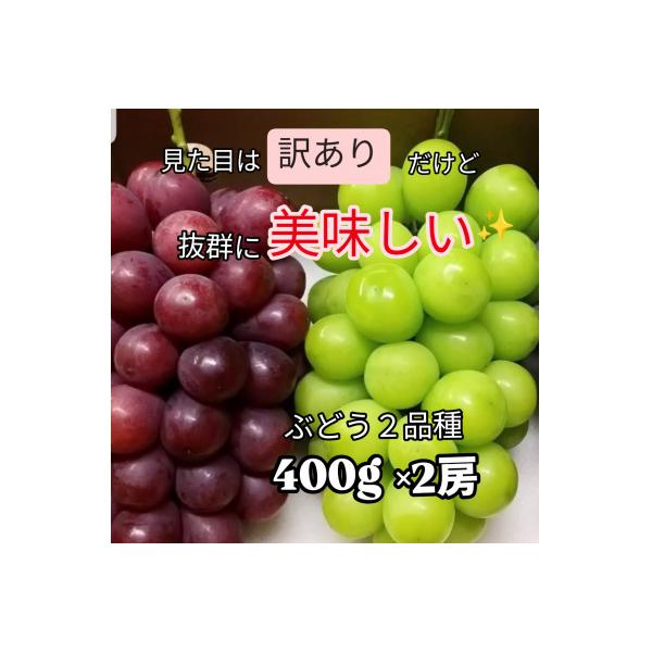 ■お礼品詳細　・配送種別：冷蔵便　・提供元：合同会社ヴェレゾン豊国■お申し込み・配送・その他　・発送時期：2026/8/20〜2026/9/30(お届け時間帯指定可)　・申込受付期間：〜2026-09-25　・配達外のエリア：離島　・寄付証...
