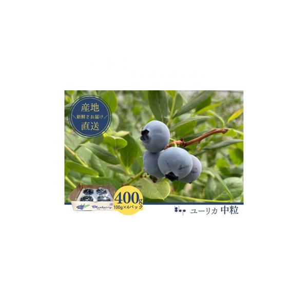 ■お礼品詳細　・配送種別：冷蔵便　・提供元：レッドホースコーポレーション（ブルーベリーパーク成田）■お申し込み・配送・その他　・発送時期：2026-04-15〜2026-05-15(お届け時間帯指定可)　・申込受付期間：〜2026-05-0...