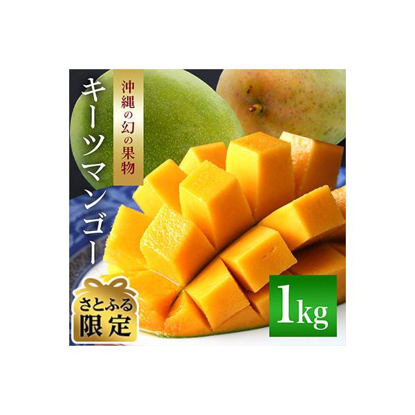 ■お礼品詳細　・配送種別：通常　・提供元：山香：糸満営業所■お申し込み・配送・その他　・発送時期：2026-08-05〜2026-09-30(お届け時間帯指定可)　・申込受付期間：〜2026-07-22　・配達外のエリア：　・寄付証明書の送...