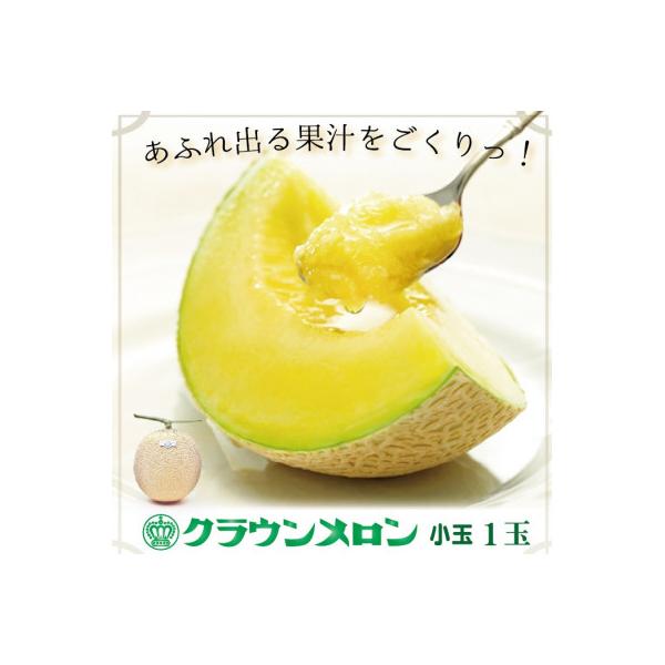 ■お礼品詳細　・配送種別：通常　・提供元：メロー静岡（浜松市）■お申し込み・配送・その他　・発送時期：2026-01-13より順次発送 ※生産・天候・交通等の事情により遅れる場合があります。(お届け時間帯指定可)　・申込受付期間：通年　・配...