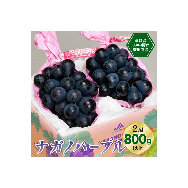 ■お礼品詳細　・配送種別：冷蔵便　・提供元：ＪＡ中野市　営農部　販売開発課■お申し込み・配送・その他　・発送時期：2026-08-18〜2026-09-14(お届け時間帯指定可)　・申込受付期間：〜2026-08-10　・配達外のエリア：離...