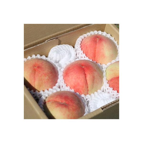 ■お礼品詳細　・配送種別：冷蔵便　・提供元：前商店（九度山町）■お申し込み・配送・その他　・発送時期：2026-07-01〜2026-08-31(お届け時間帯指定可)　・申込受付期間：2025-09-01〜2026-07-25　・配達外のエ...