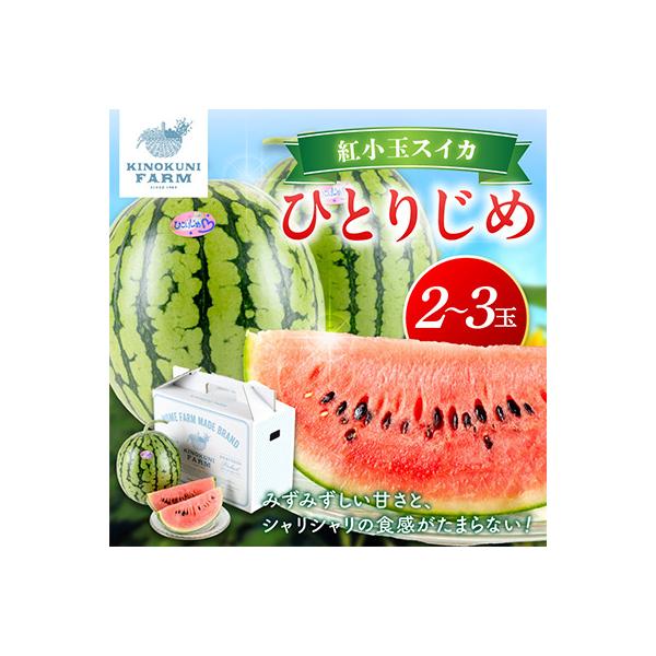 ■お礼品詳細　・配送種別：通常　・提供元：農園紀の国■お申し込み・配送・その他　・発送時期：2026-06-22〜2026-07-27(お届け時間帯指定可)　・申込受付期間：2025-08-22〜2026-07-05　・配達外のエリア：離島...