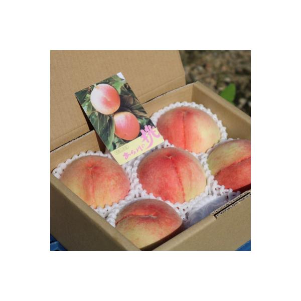 ■お礼品詳細　・配送種別：冷蔵便　・提供元：前商店（和歌山県紀の川市）■お申し込み・配送・その他　・発送時期：2026-07-01〜2026-08-31(お届け時間帯指定可)　・申込受付期間：2025-09-01〜2026-07-25　・配...