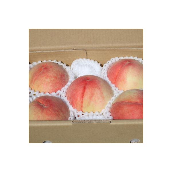 ■お礼品詳細　・配送種別：冷蔵便　・提供元：前商店（和歌山県紀の川市）■お申し込み・配送・その他　・発送時期：2026-07-01〜2026-08-31(お届け時間帯指定可)　・申込受付期間：2025-09-01〜2026-07-25　・配...