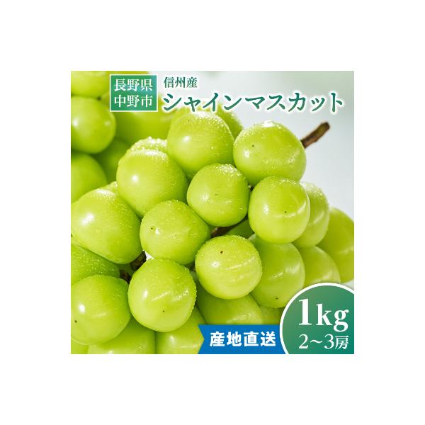 ■お礼品詳細　・配送種別：通常　・提供元：株式会社高見澤　特産事業部■お申し込み・配送・その他　・発送時期：2026-09-18〜2026-10-30(お届け時間帯指定可)　・申込受付期間：〜2026-10-24　・配達外のエリア：　・寄付...