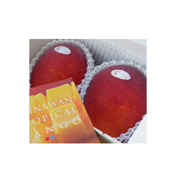 ■お礼品詳細　・配送種別：冷蔵便　・提供元：サンフルーツ糸満■お申し込み・配送・その他　・発送時期：2026-06-20〜2026-07-31(お届け時間帯指定可)　・申込受付期間：2025-07-26〜2026-07-10　・配達外のエリ...