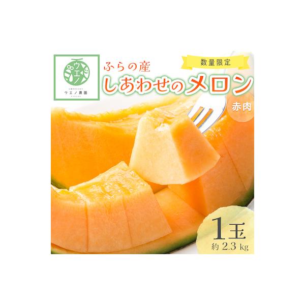 ■お礼品詳細　・配送種別：通常　・提供元：ウエノ農園　富良野■お申し込み・配送・その他　・発送時期：2026-06-23〜2026-09-05(お届け時間帯指定可)　・申込受付期間：〜2026-08-01　・配達外のエリア：　・寄付証明書の...