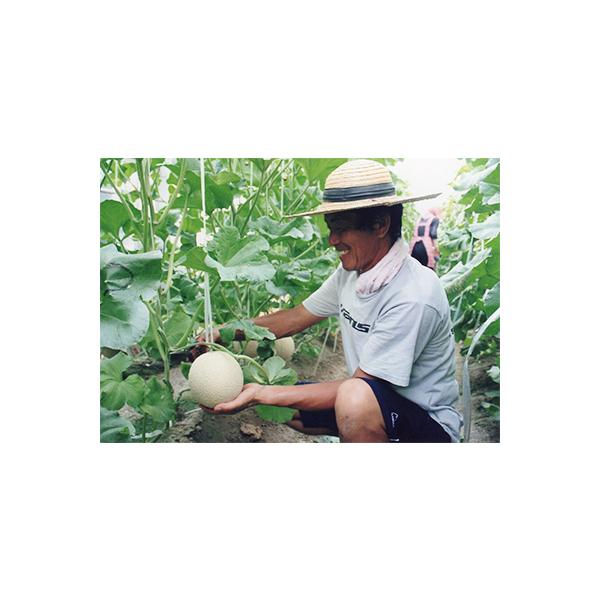 ■お礼品詳細　・配送種別：通常　・提供元：平松農園■お申し込み・配送・その他　・発送時期：2026-06-23〜2026-06-30(お届け時間帯指定可)　・申込受付期間：〜2026-06-18　・配達外のエリア：　・寄付証明書の送付時期目...