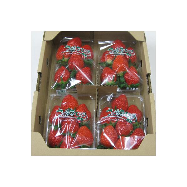 ■お礼品詳細　・配送種別：冷蔵便　・提供元：株式会社五色青果（東かがわ市）■お申し込み・配送・その他　・発送時期：2026-02-02〜2026-06-20　・申込受付期間：〜2026-05-31　・配達外のエリア：離島、北海道、沖縄県、東...