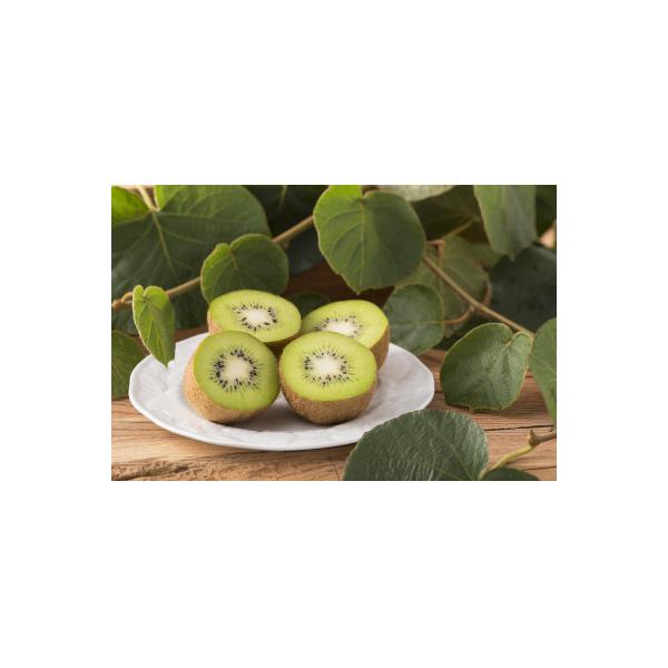 ■お礼品詳細　・配送種別：通常　・提供元：（株）渋谷農園■お申し込み・配送・その他　・発送時期：2025-12-01〜2026-06-10※生産状況によりタイミングがずれる場合がございます(お届け時間帯指定可)　・申込受付期間：2025-1...