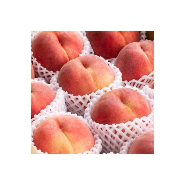 ■お礼品詳細　・配送種別：冷蔵便　・提供元：株式会社　R＆Cながの青果■お申し込み・配送・その他　・発送時期：2026-08-01〜2026-09-05(お届け時間帯指定可)　・申込受付期間：〜2026-07-31　・配達外のエリア：離島　...