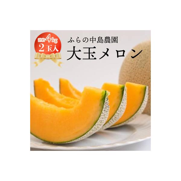 ■お礼品詳細　・配送種別：通常　・提供元：中島農園■お申し込み・配送・その他　・発送時期：2026-07-01〜2026-07-31(お届け時間帯指定可)　・申込受付期間：〜2026-07-10　・配達外のエリア：　・寄付証明書の送付時期目...