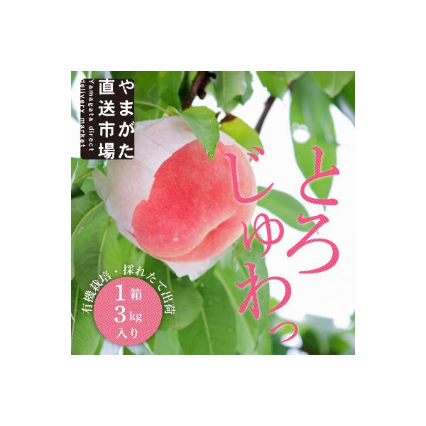 ■お礼品詳細　・配送種別：通常　・提供元：やまがた直送市場■お申し込み・配送・その他　・発送時期：2026-07-15〜2026-10-10(お届け時間帯指定可)　・申込受付期間：〜2026-09-20　・配達外のエリア：　・寄付証明書の送...