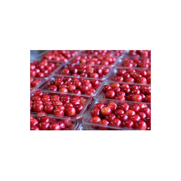 ■お礼品詳細　・配送種別：冷蔵便　・提供元：やまがた直送市場■お申し込み・配送・その他　・発送時期：2026-06-03〜2026-07-05(お届け時間帯指定可)　・申込受付期間：〜2026-06-05　・配達外のエリア：離島、北海道、沖...