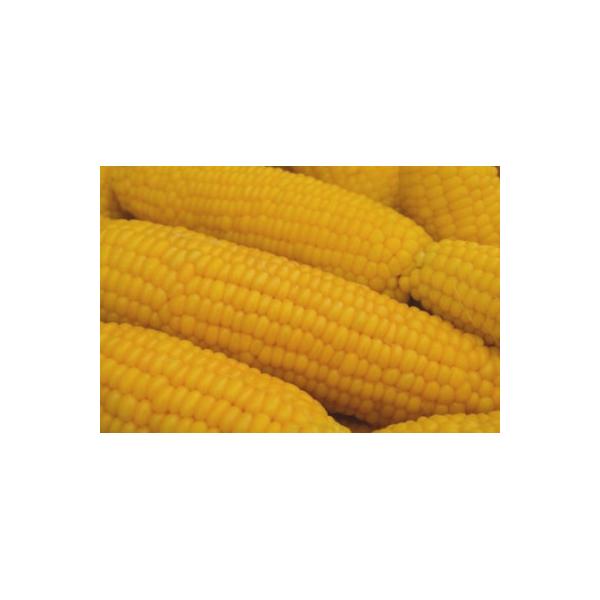 ■お礼品詳細　・配送種別：冷蔵便　・提供元：（株）ＪＡなるさわ■お申し込み・配送・その他　・発送時期：2026-08-01〜2026-08-20(お届け時間帯指定可)　・申込受付期間：2025-12-10〜2026-07-15　・配達外のエ...