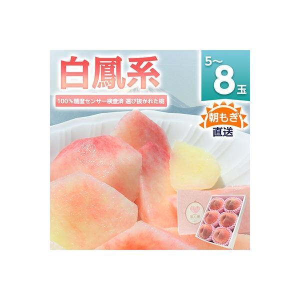 ■お礼品詳細　・配送種別：冷蔵便　・提供元：山梨フルーツライン■お申し込み・配送・その他　・発送時期：2026-06-23〜2026-07-31(お届け時間帯指定可)　・申込受付期間：〜2026-06-30　・配達外のエリア：離島　・寄付証...