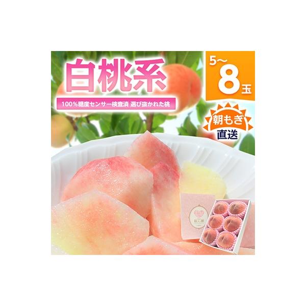 ■お礼品詳細　・配送種別：冷蔵便　・提供元：山梨フルーツライン■お申し込み・配送・その他　・発送時期：2026-07-20〜2026-08-31(お届け時間帯指定可)　・申込受付期間：〜2026-07-24　・配達外のエリア：離島　・寄付証...