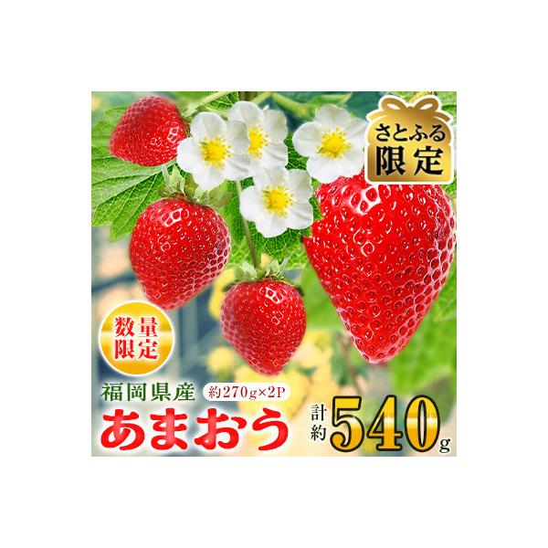 ■お礼品詳細　・配送種別：冷蔵便　・提供元：芦屋マルシェ■お申し込み・配送・その他　・発送時期：2026-02-06〜2026-05-15(お届け時間帯指定可)　・申込受付期間：〜2026-04-30　・配達外のエリア：離島　・寄付証明書の...