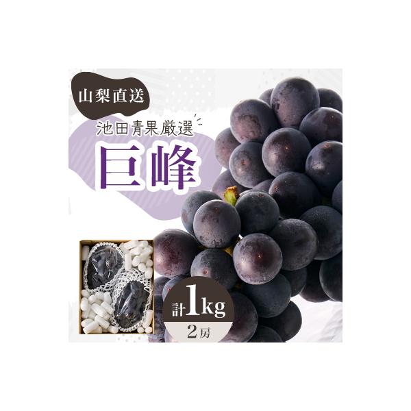 ■お礼品詳細　・配送種別：冷蔵便　・提供元：池田青果（ＳＴ）■お申し込み・配送・その他　・発送時期：2026年08月01日〜2026年10月01日(お届け時間帯指定可)　・申込受付期間：〜2026/9/10　・配達外のエリア：離島、沖縄県　...