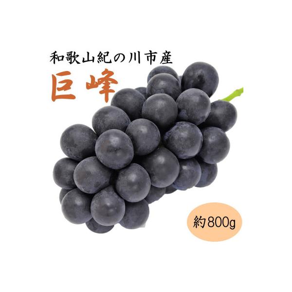 ■お礼品詳細　・配送種別：冷蔵便　・提供元：紀の川市厳選館■お申し込み・配送・その他　・発送時期：2026-08-01〜2026-08-30(お届け時間帯指定可)　・申込受付期間：〜2026-08-12　・配達外のエリア：離島、北海道、沖縄...