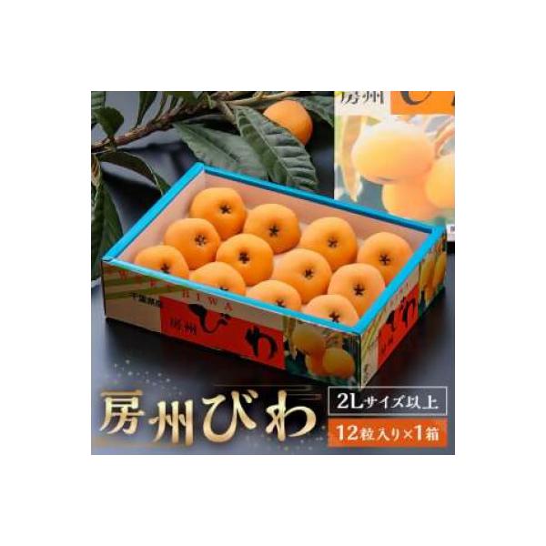 ■お礼品詳細　・配送種別：通常　・提供元：株式会社ちば南房総　道の駅とみうら枇杷倶楽部（ＪＰ）■お申し込み・配送・その他　・発送時期：2026-05-25〜2026-06-15(お届け時間帯指定可)　・申込受付期間：〜2026-05-31　...