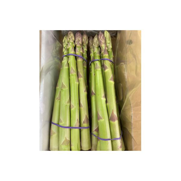 ■お礼品詳細　・配送種別：冷蔵便　・提供元：はなまる農園■お申し込み・配送・その他　・発送時期：2026-03-10〜2026-10-15(お届け時間帯指定可)　・申込受付期間：2025-08-01〜2026-09-20　・配達外のエリア：...