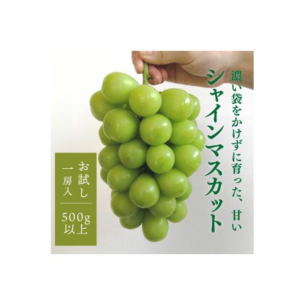 ■お礼品詳細　・配送種別：冷蔵　・提供元：きよとうファーム株式会社■お申し込み・配送・その他　・発送時期：2026-09-01〜2026-12-14(お届け時間帯指定可)　・申込受付期間：〜2026-12-09　・配達外のエリア：離島　・寄...