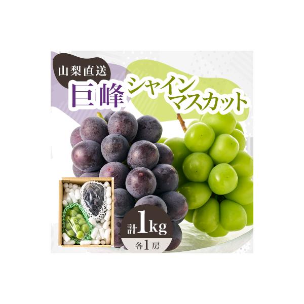 ■お礼品詳細　・配送種別：冷蔵便　・提供元：池田青果（ＳＴ）■お申し込み・配送・その他　・発送時期：2026年08月01日〜2026年11月01日(お届け時間帯指定可)　・申込受付期間：〜2026/10/15　・配達外のエリア：離島　・寄付...