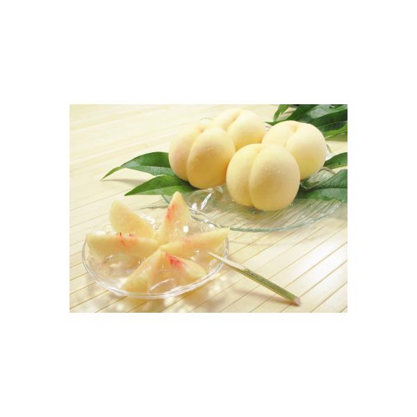 ■お礼品詳細　・配送種別：冷蔵便　・提供元：環山堂株式会社（井原市）■お申し込み・配送・その他　・発送時期：2026-06-30〜2026-08-07(お届け時間帯指定可)　・申込受付期間：2025-08-08〜2026-06-01　・配達...