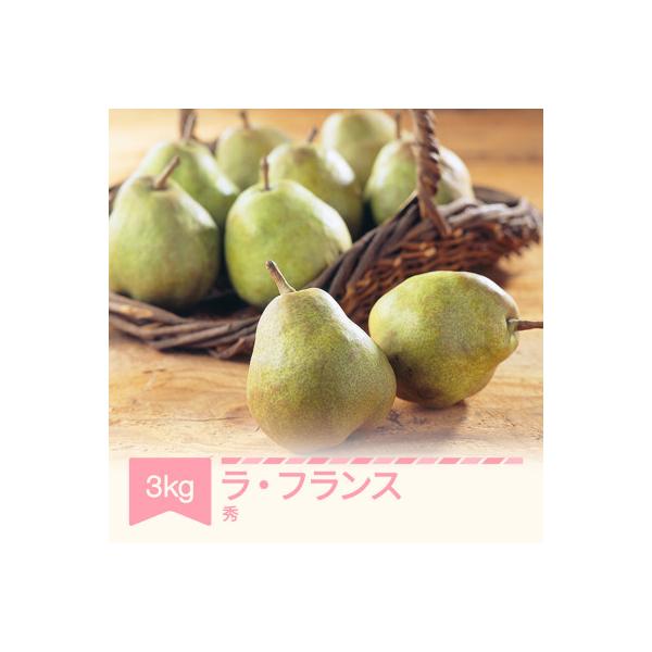 ■お礼品詳細　・配送種別：通常　・提供元：村山市観光物産協会（丸松）■お申し込み・配送・その他　・発送時期：2025-10-27〜2026-01-30(お届け時間帯指定可)　・申込受付期間：〜2025-12-31　・配達外のエリア：離島、沖...