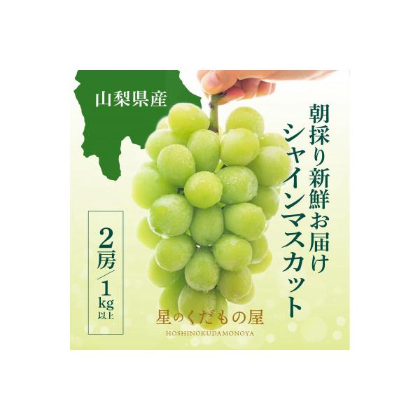 ■お礼品詳細　・配送種別：冷蔵便　・提供元：ティンクル☆星のくだもの屋■お申し込み・配送・その他　・発送時期：2026-08-20〜2026-10-04(お届け時間帯指定可)　・申込受付期間：〜2026-07-31　・配達外のエリア：離島、...