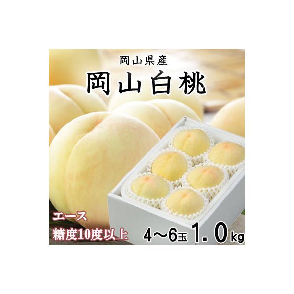 ■お礼品詳細　・配送種別：冷蔵　・提供元：株式会社　はちや　津山市■お申し込み・配送・その他　・発送時期：2026-06-20〜2026-09-10(お届け時間帯指定可)　・申込受付期間：〜2026-07-31　・配達外のエリア：離島、北海...