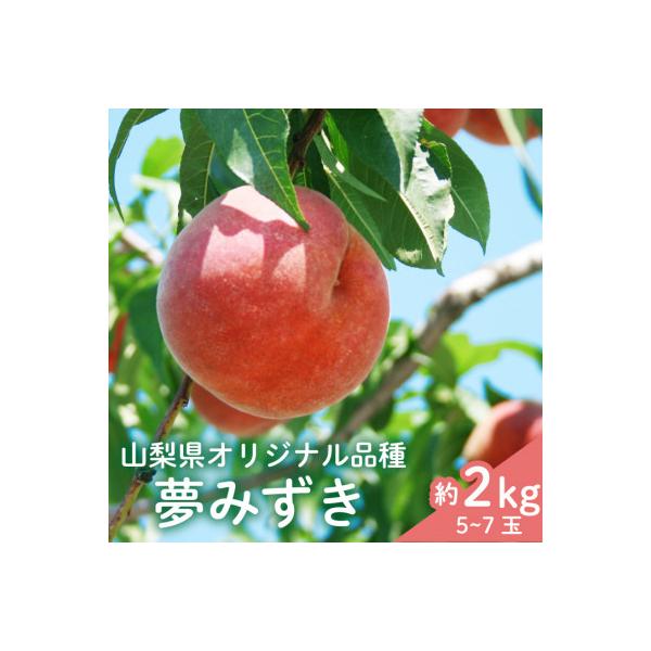 ■お礼品詳細　・配送種別：冷蔵便　・提供元：甲斐国物語■お申し込み・配送・その他　・発送時期：2026-07-01〜2026-07-20(お届け時間帯指定可)　・申込受付期間：〜2026-06-25　・配達外のエリア：離島　・寄付証明書の送...