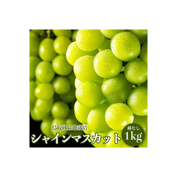 ■お礼品詳細　・配送種別：冷蔵便　・提供元：マルヒロぶどうファーム■お申し込み・配送・その他　・発送時期：2026-08-19〜2026-10-24(お届け時間帯指定可)　・申込受付期間：〜2026-10-17　・配達外のエリア：離島　・寄...